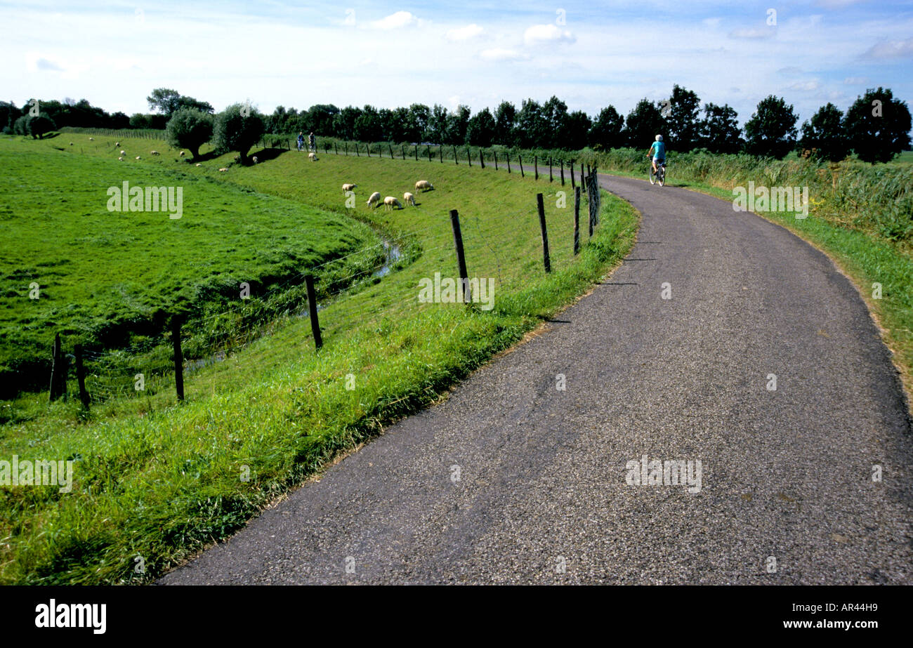 Realistic country hi-res stock photography and images - Alamy