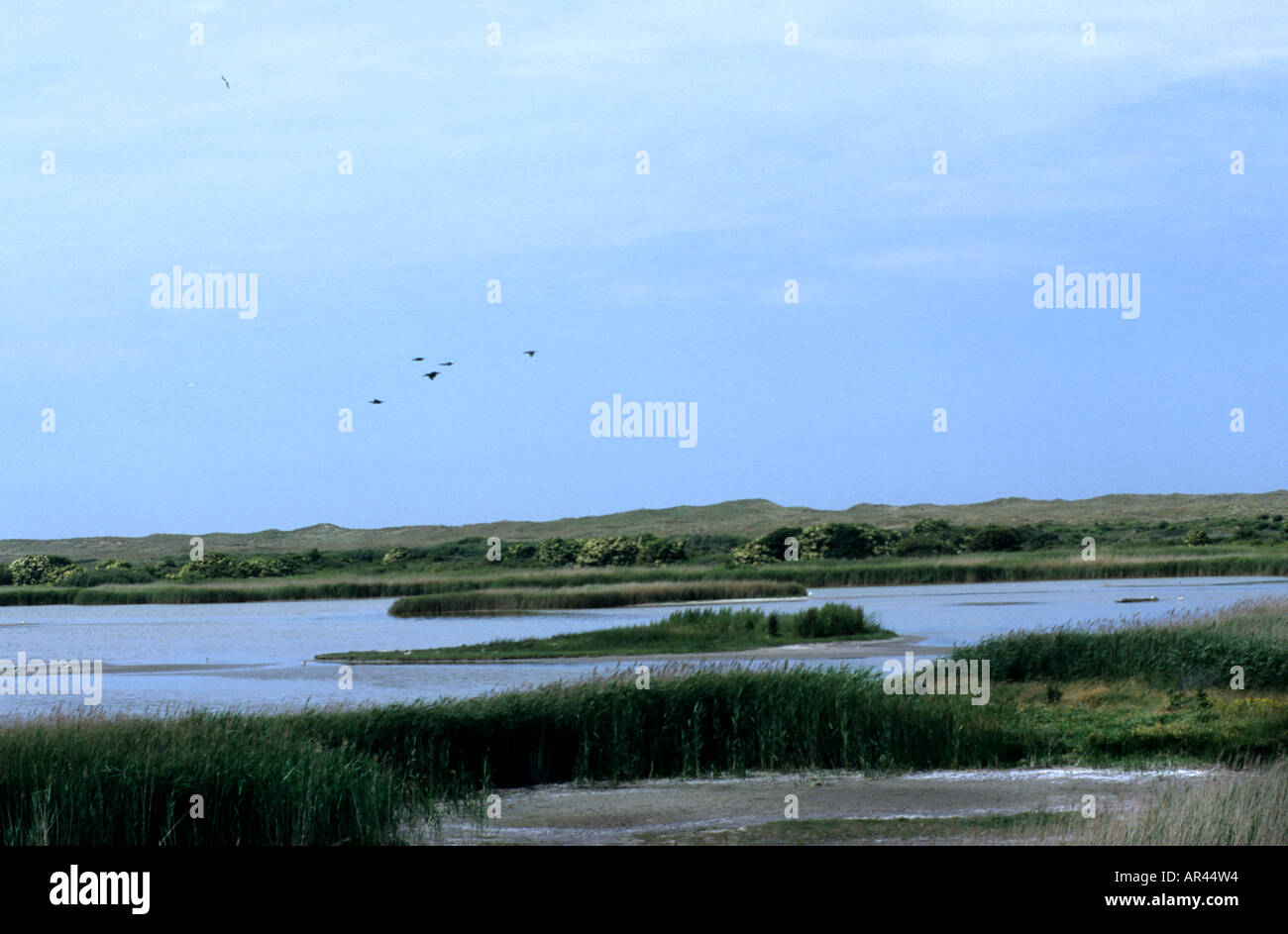 Waddenzee Wad ebb tide flood flow texel ameland terschelling vlieland ...
