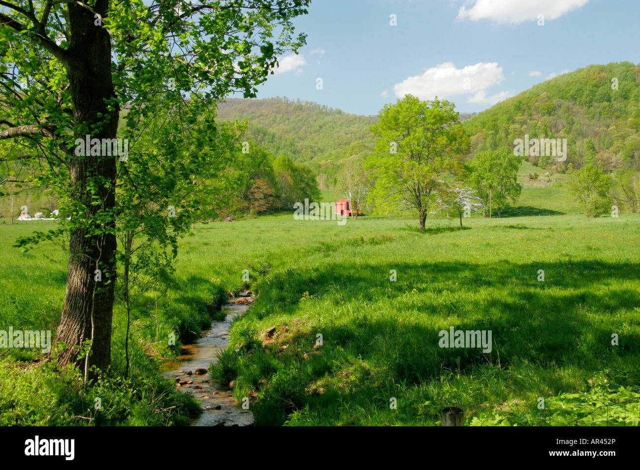 Syria virginia hi-res stock photography and images - Alamy