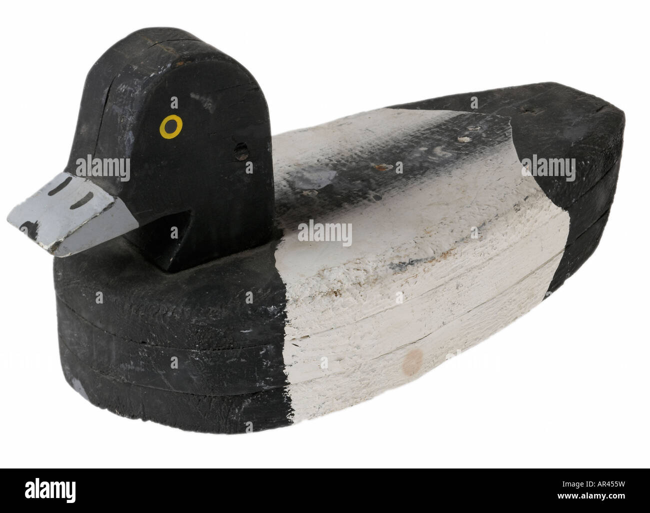 Bluebill duck hi-res stock photography and images - Alamy