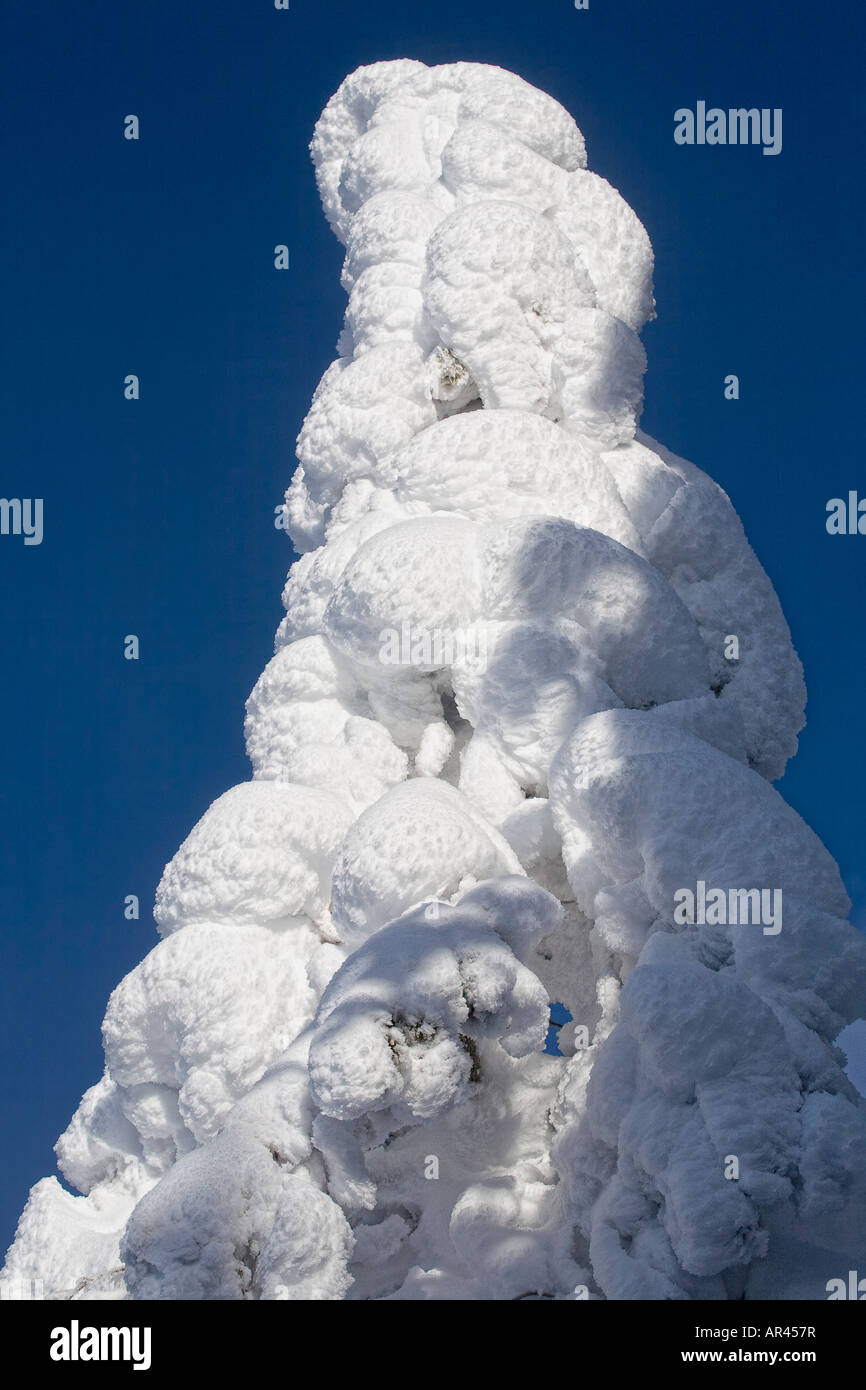 Geyser yellowstone snow hi-res stock photography and images - Alamy