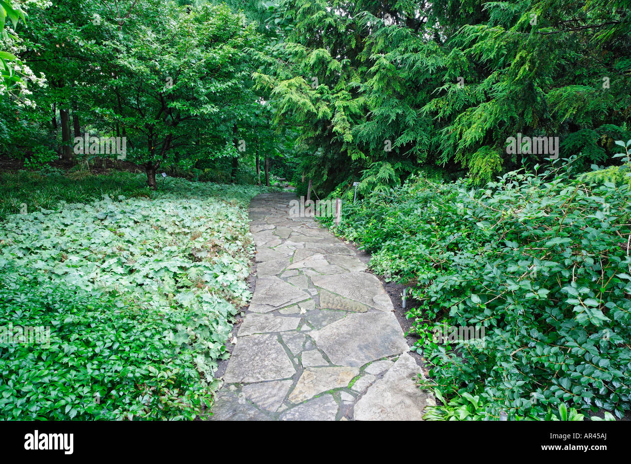 Stone pathway in the Arboretum located at the Montreal Botanical Garden ...