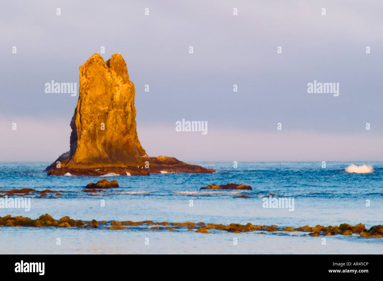 Sea Stack at morning on First Beach, Olympic National Park Stock Photo ...