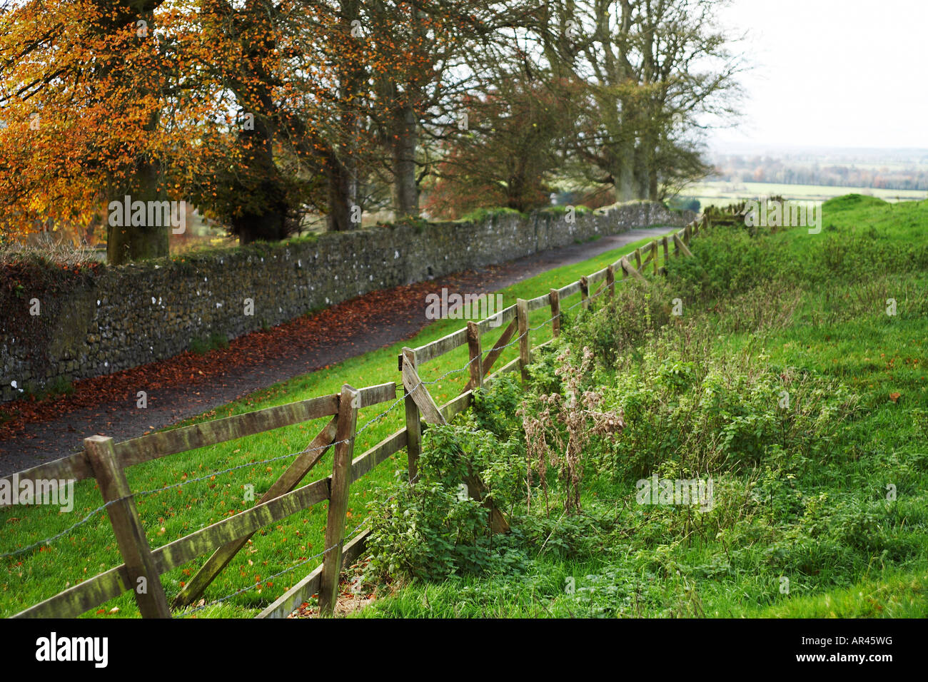 Irish ruins and pathway hi-res stock photography and images - Alamy