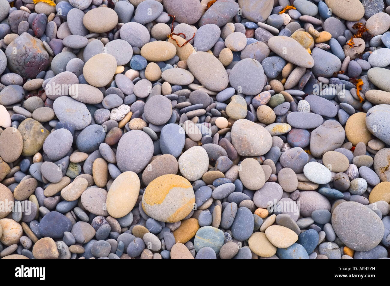 Gravel beach rocks on hi-res stock photography and images - Alamy