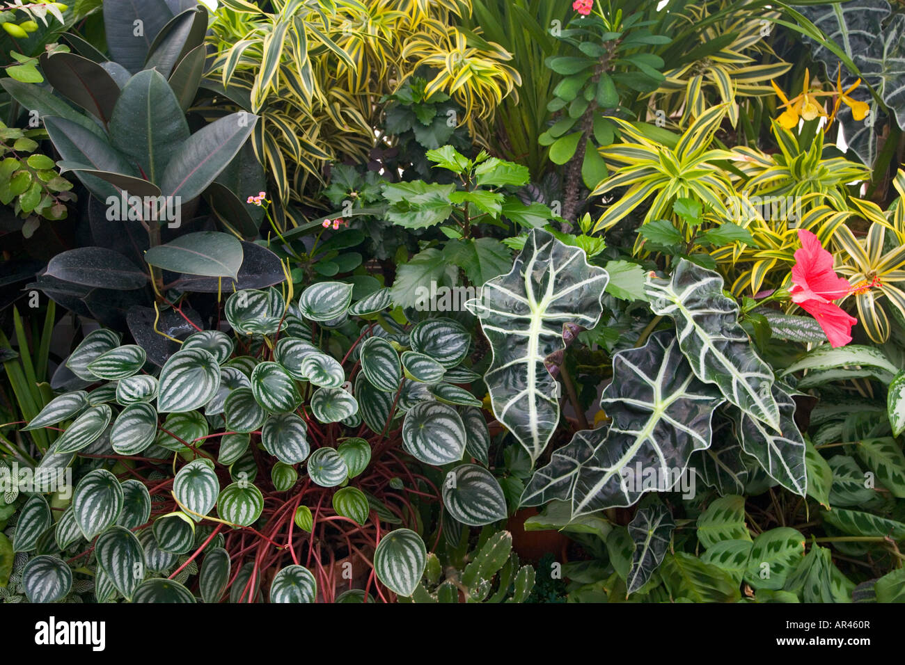 San Francisco Californias Golden Gate Park and the Conservatory of ...