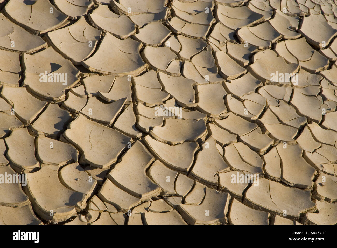 Cracked Mud formation in the Valley floor of Death Valley N.P ...
