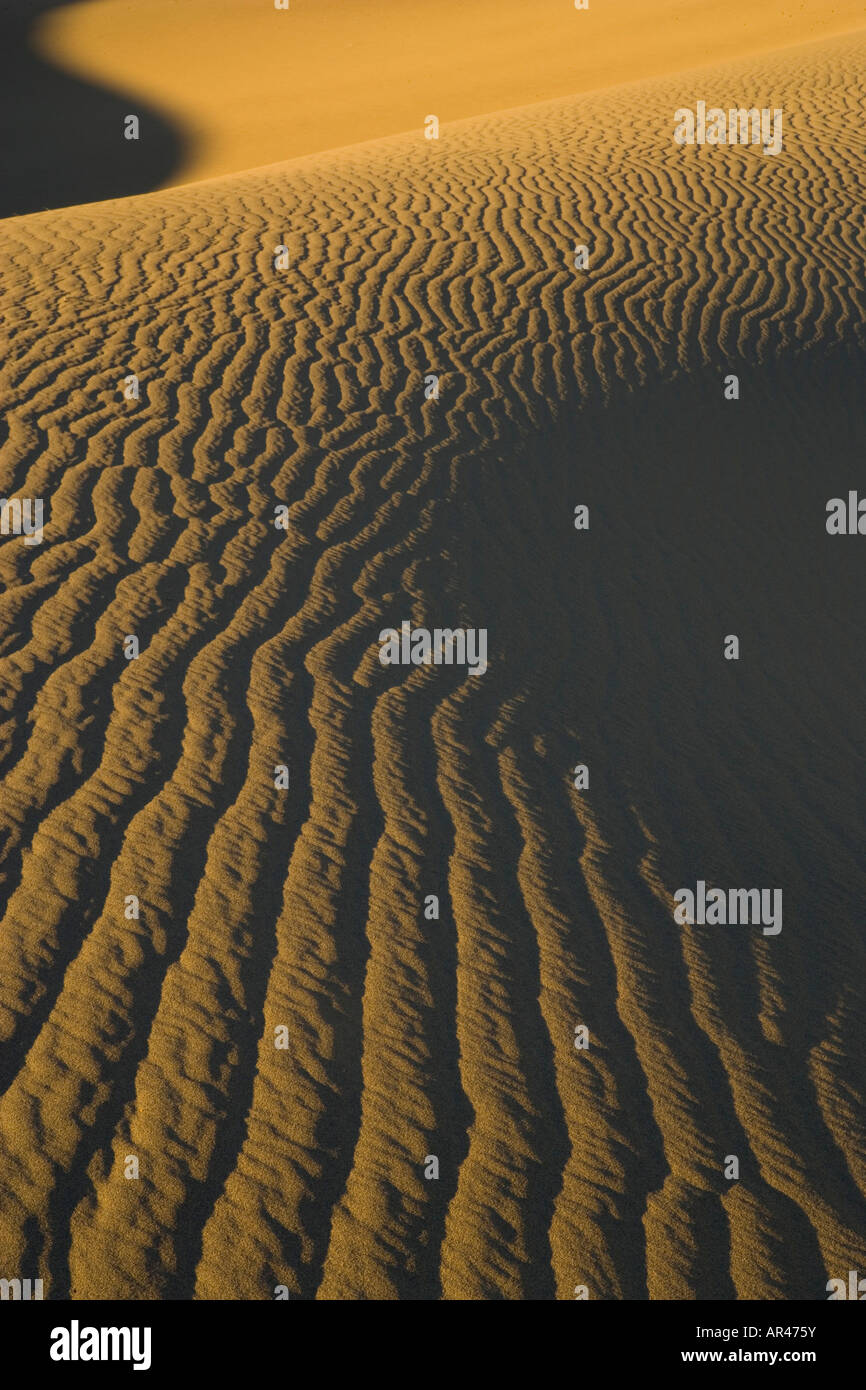 Sand Dunes and ripple desgins on the Dunes Mesquite Flats near Stove ...