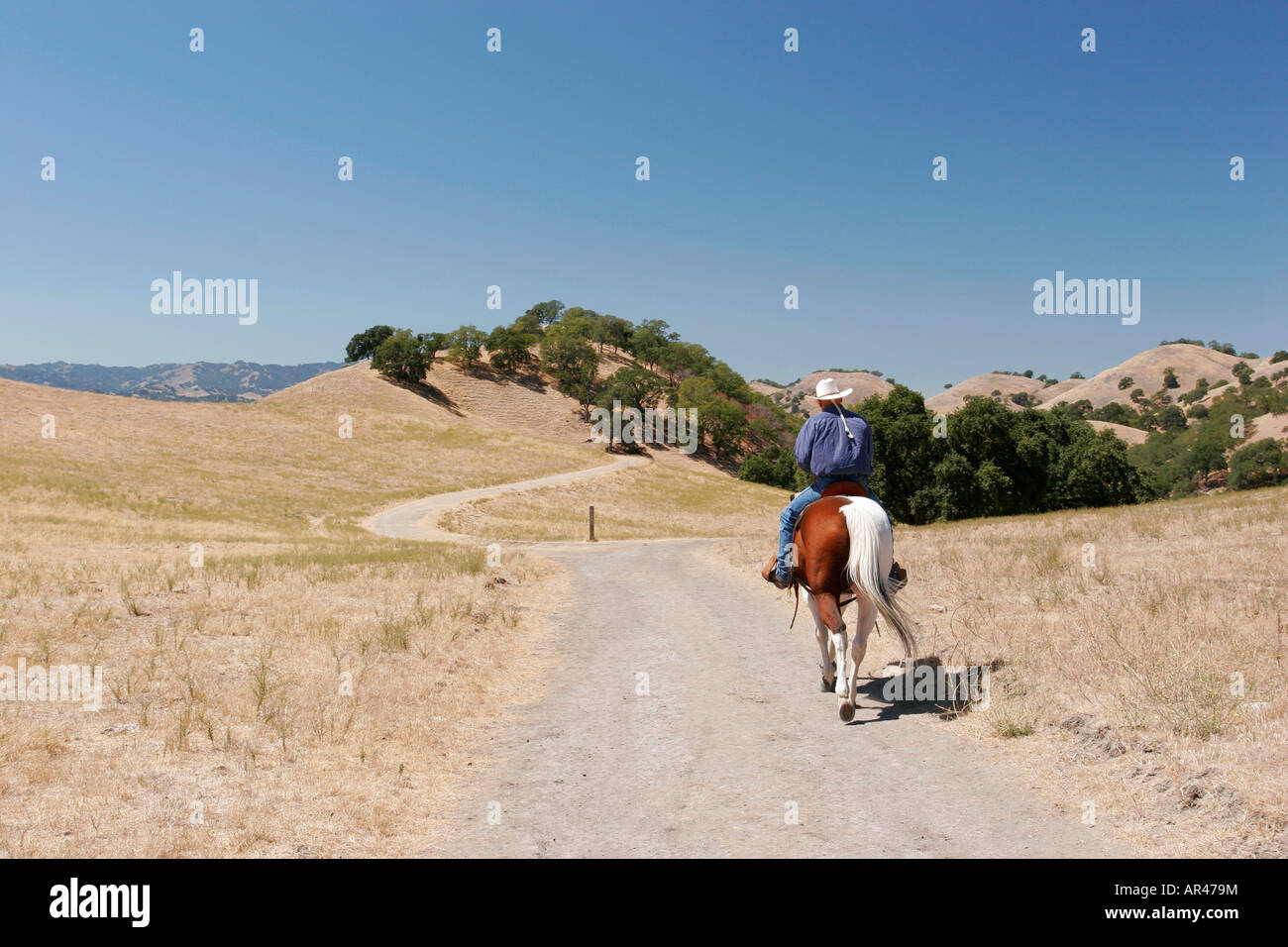 Horseman on trail Stock Photo - Alamy
