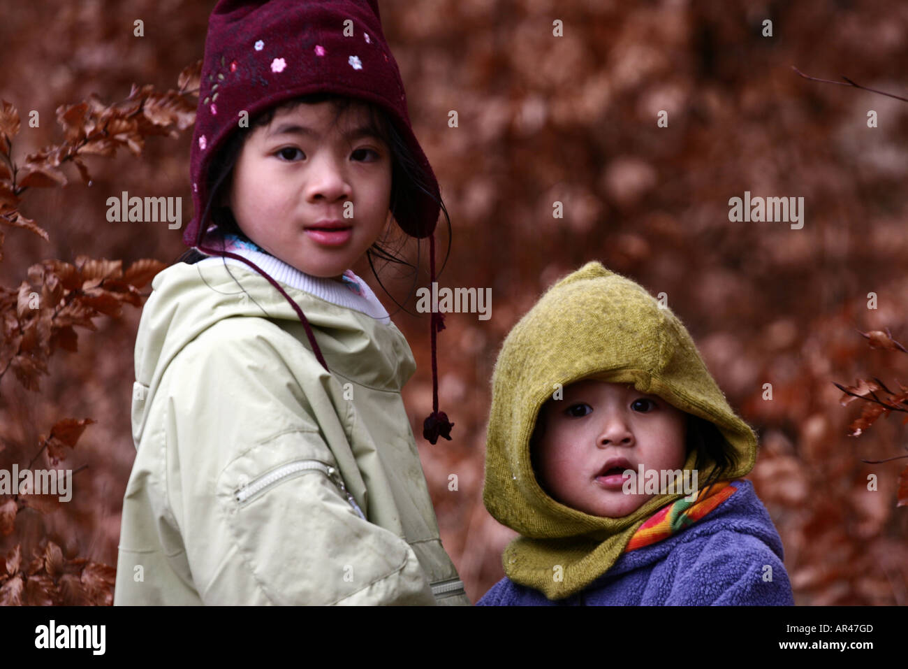 chinese child portrait Stock Photo - Alamy
