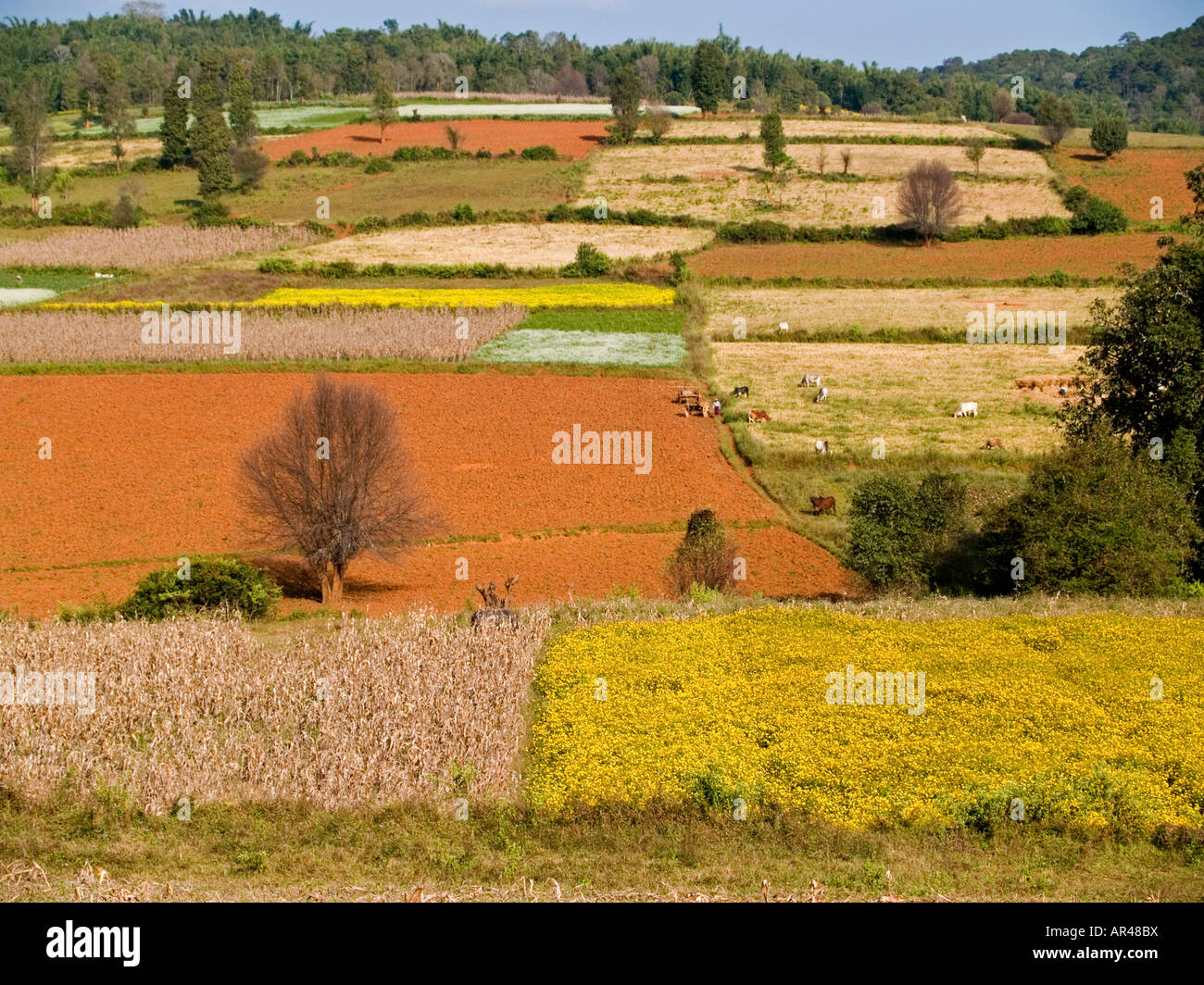 beautiful landscape in the Shan State of Burma Stock Photo - Alamy