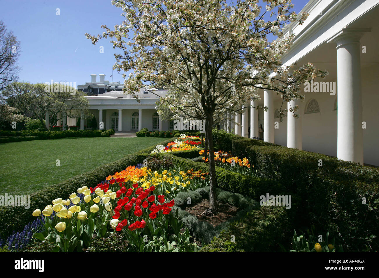 White house rose garden hi-res stock photography and images - Alamy