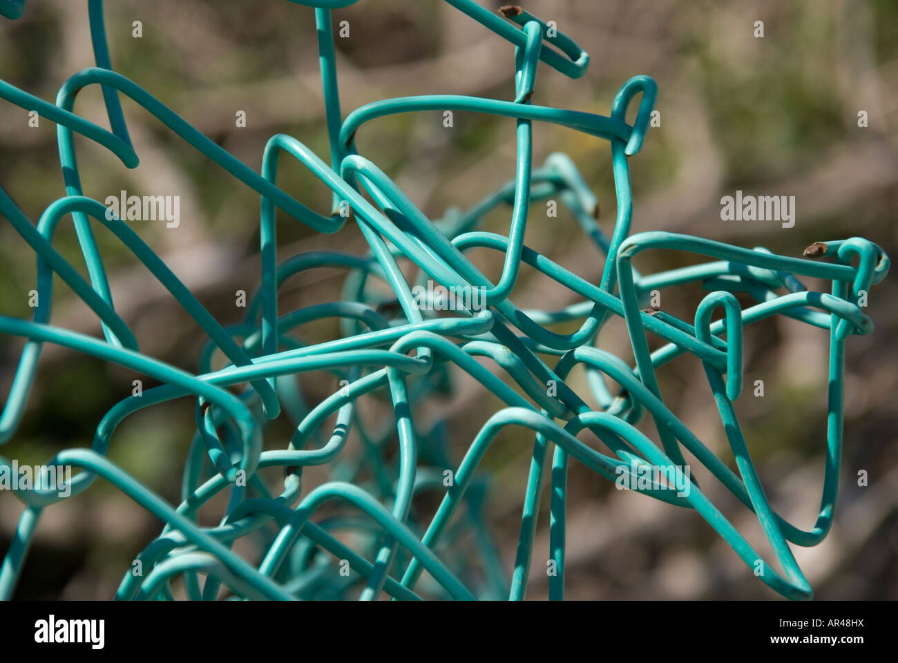 Creation and expression of representations of beauty as in painting hi ...