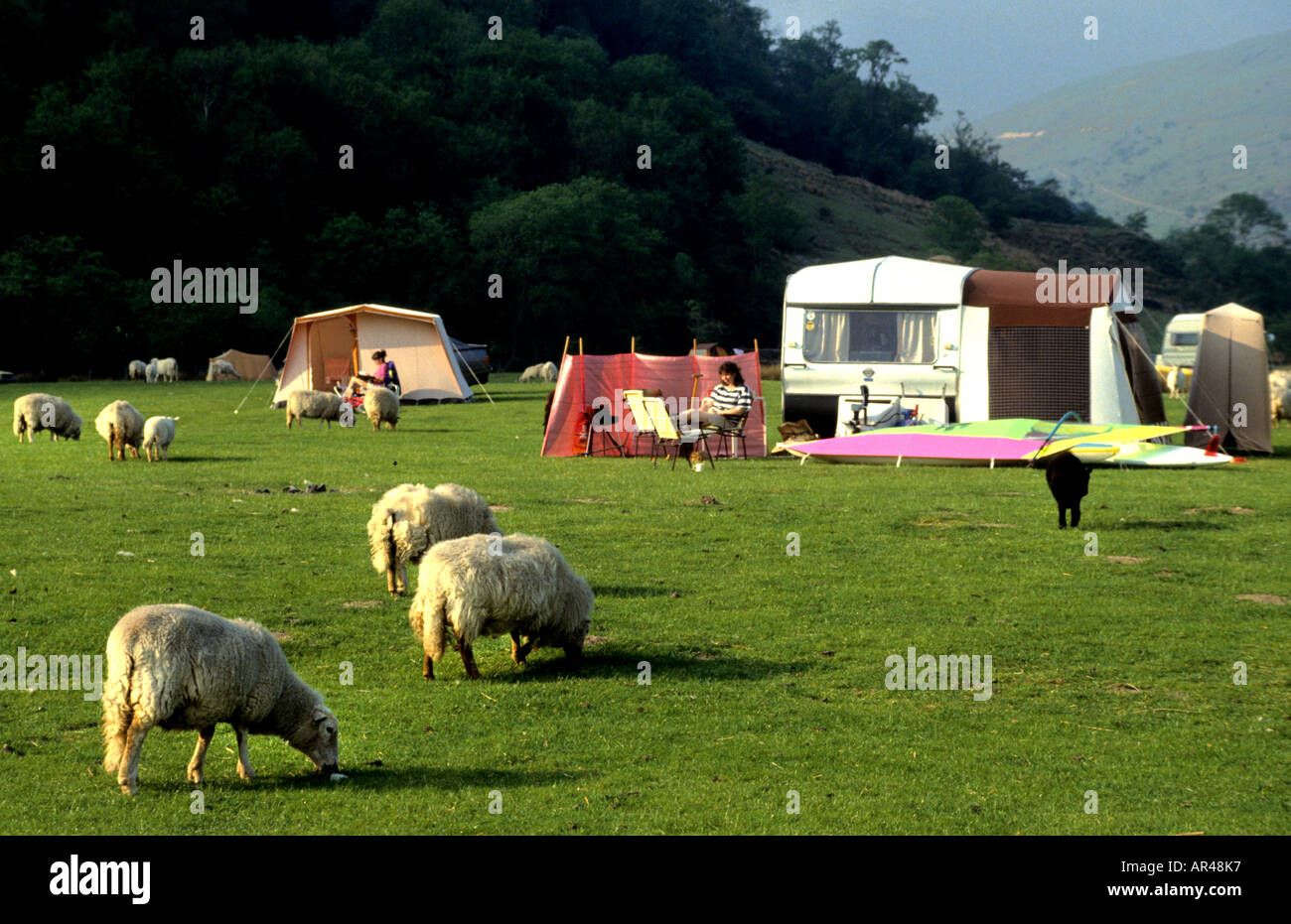 Campsite camp camping campground tent camper sheep farm Stock Photo - Alamy