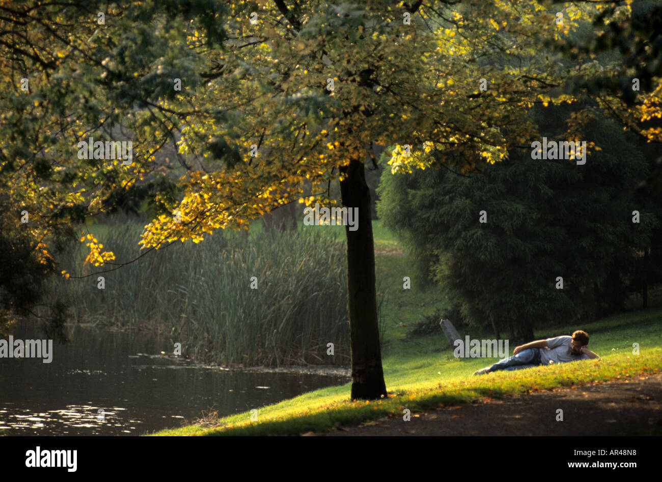 Plantsoen Leiden Singel Park tree Trees rest repose quiet green ...