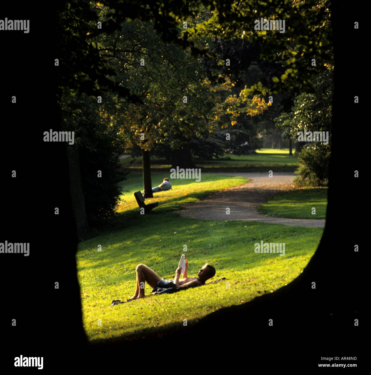 Plantsoen Leiden Singel Park tree Trees rest repose quiet green ...