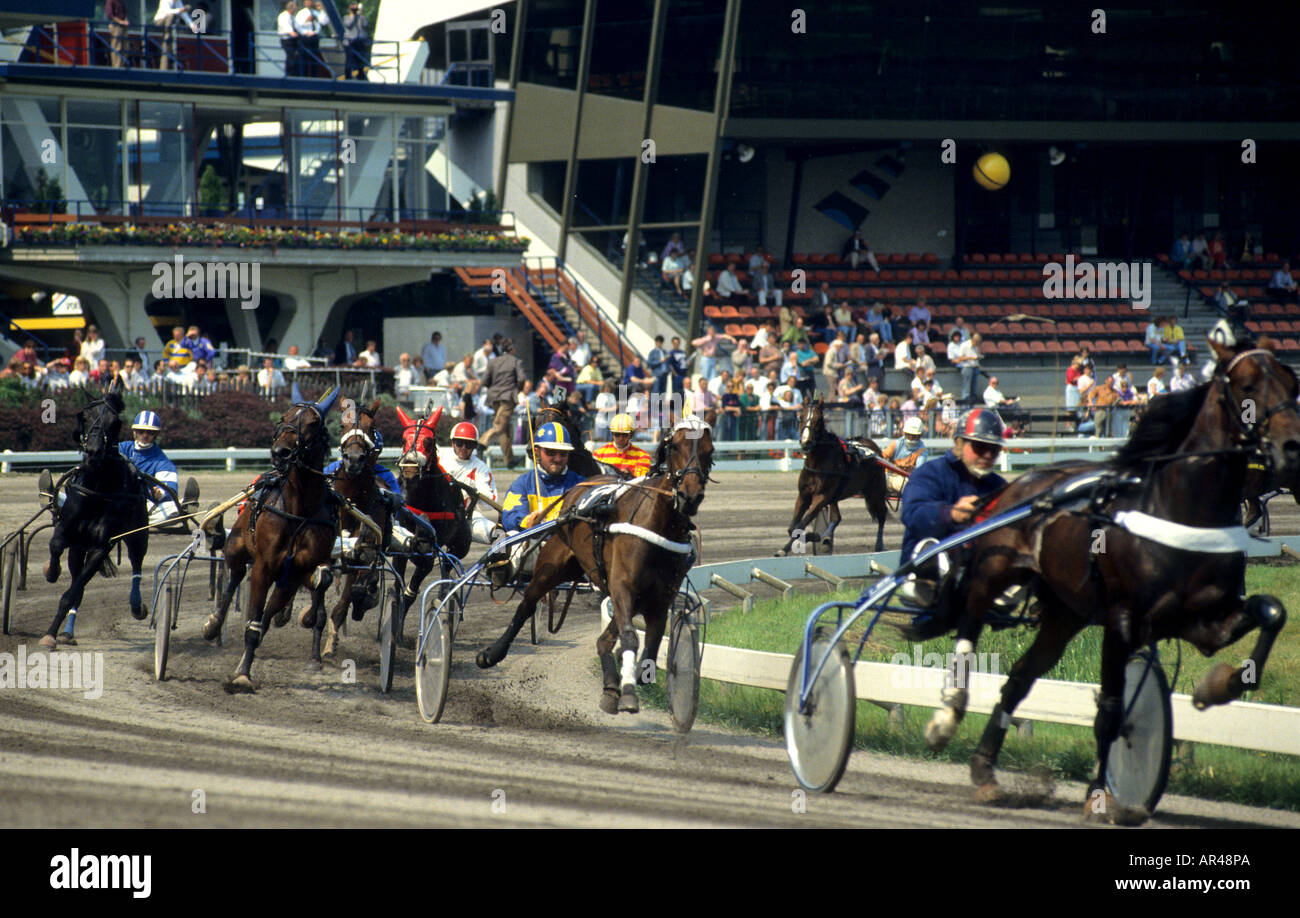 Race track duindigt hi-res stock photography and images - Alamy