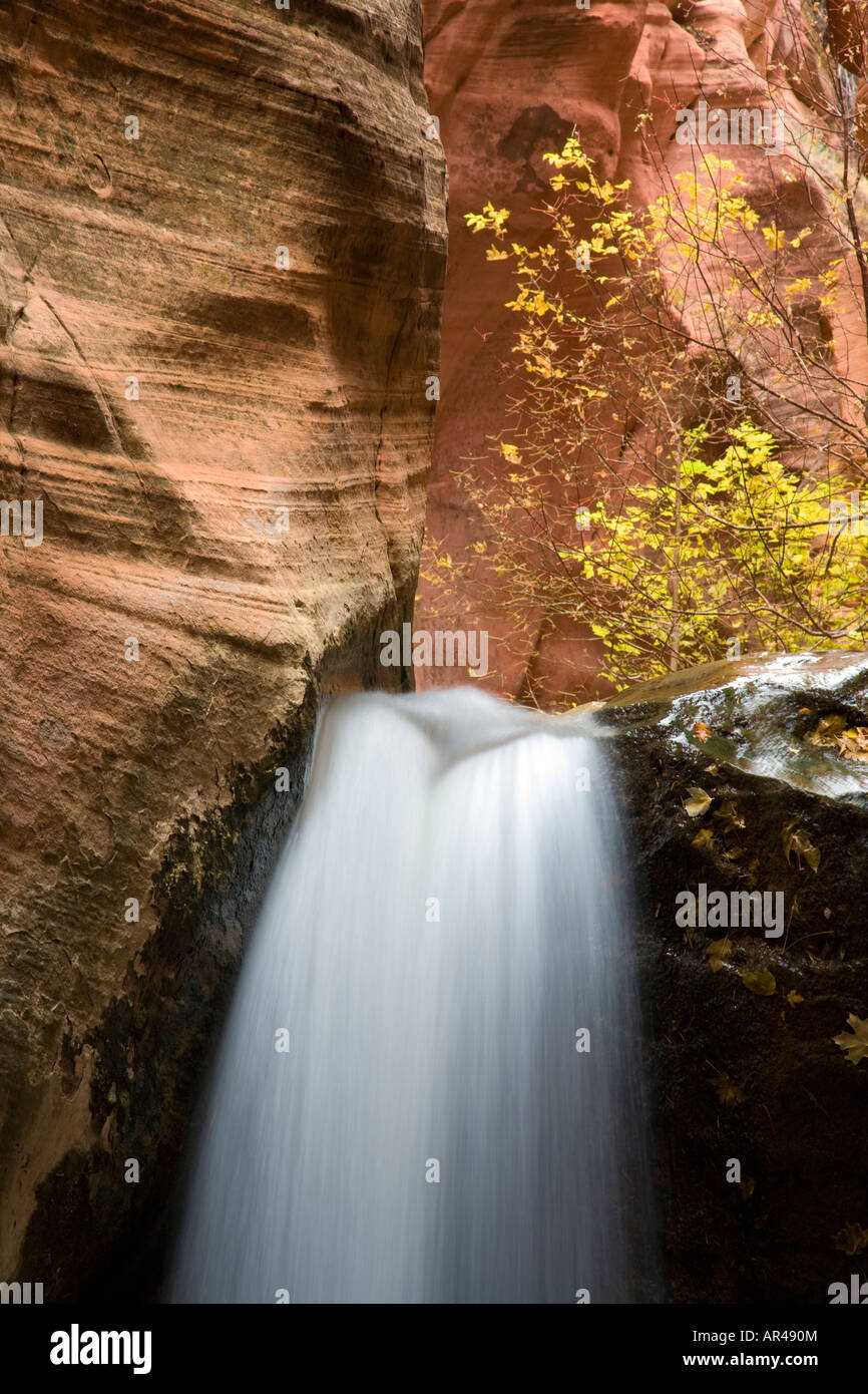 A waterfall in a small canyon near Zion National Park Utah Stock Photo ...