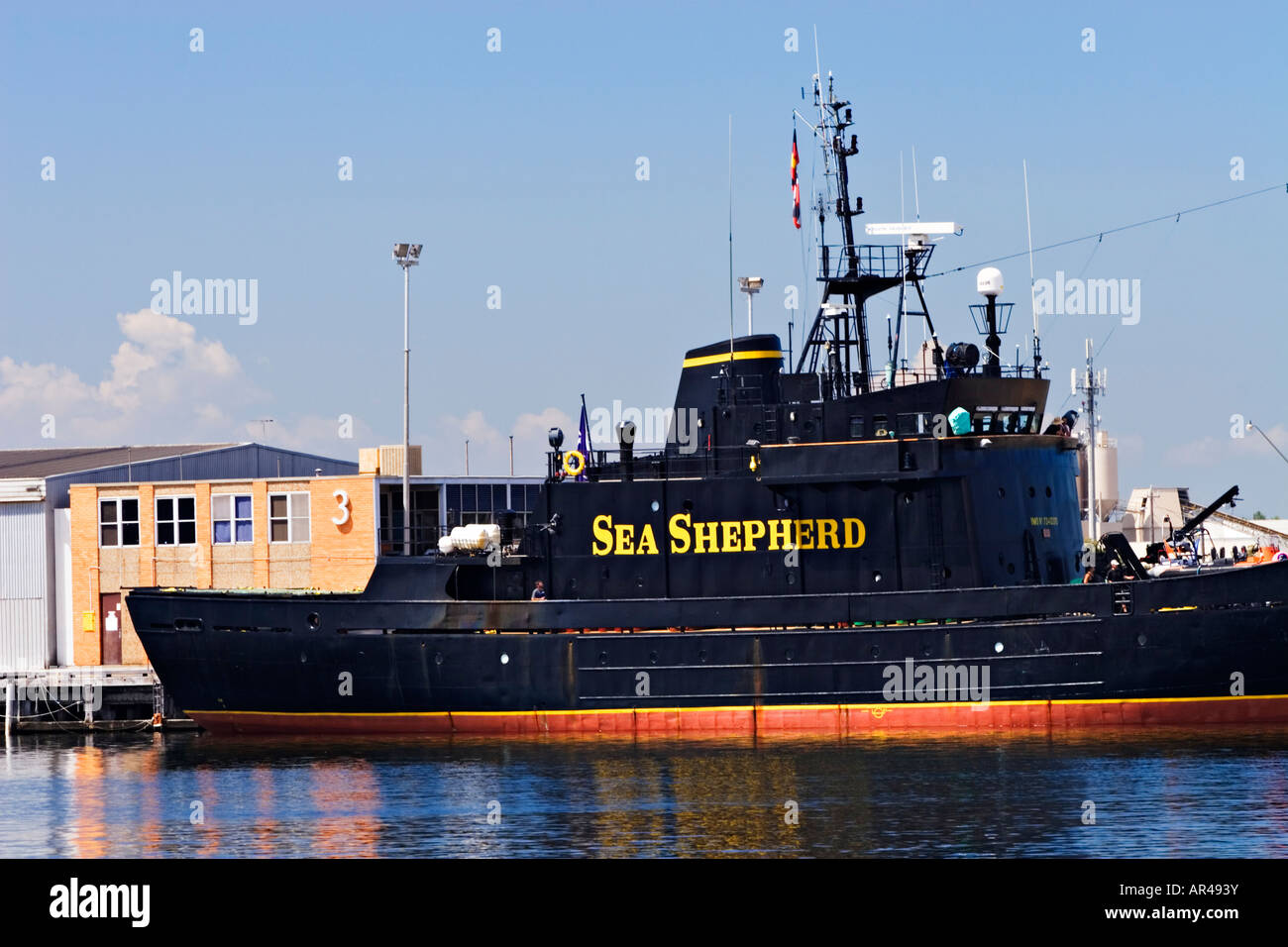 Are The Sea Shepherds Right