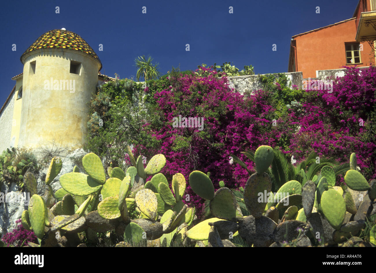 colorful buildings and flowers in the historic French port of ...
