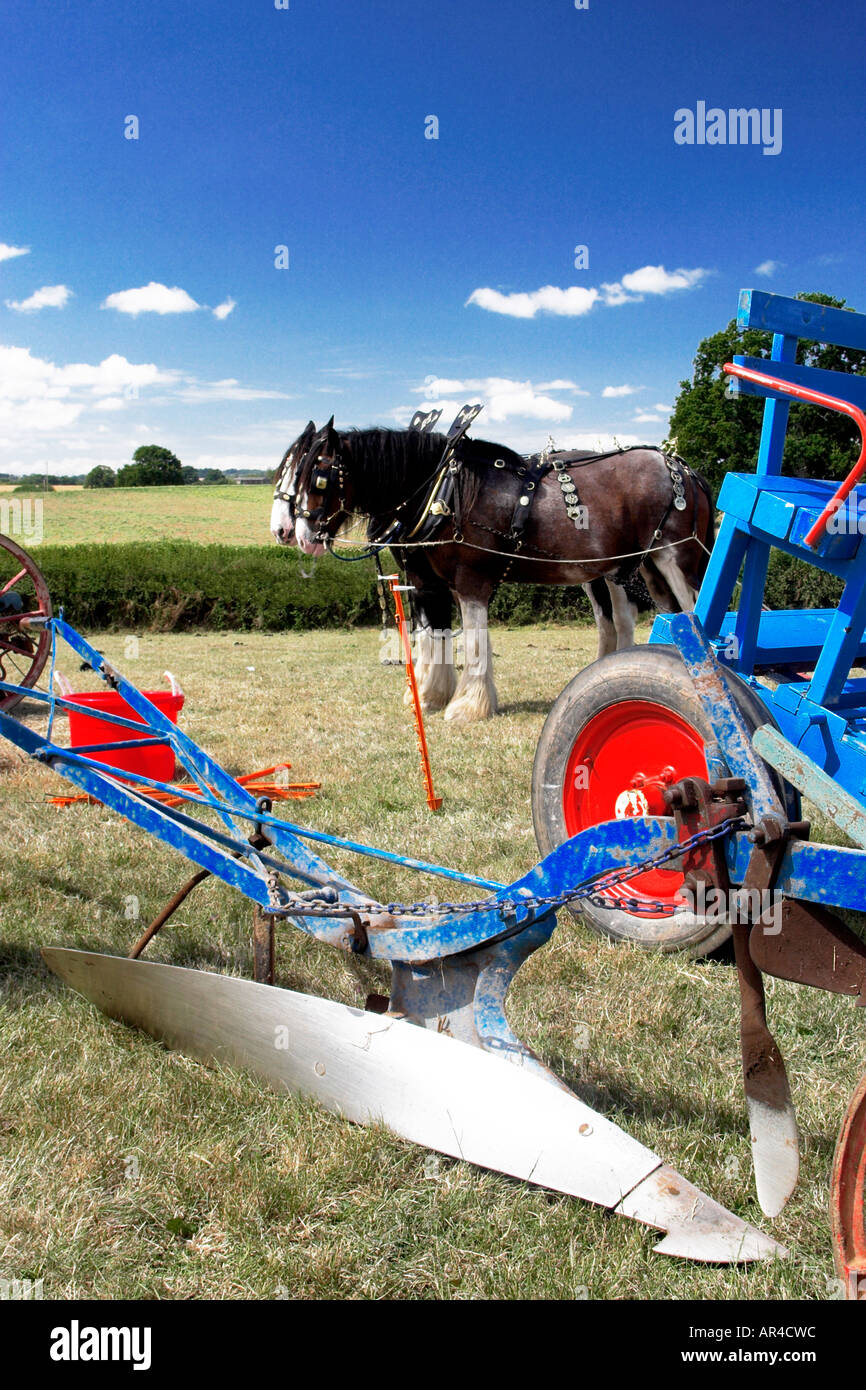 Horse Drawn Plough Stock Photos & Horse Drawn Plough Stock Images - Alamy