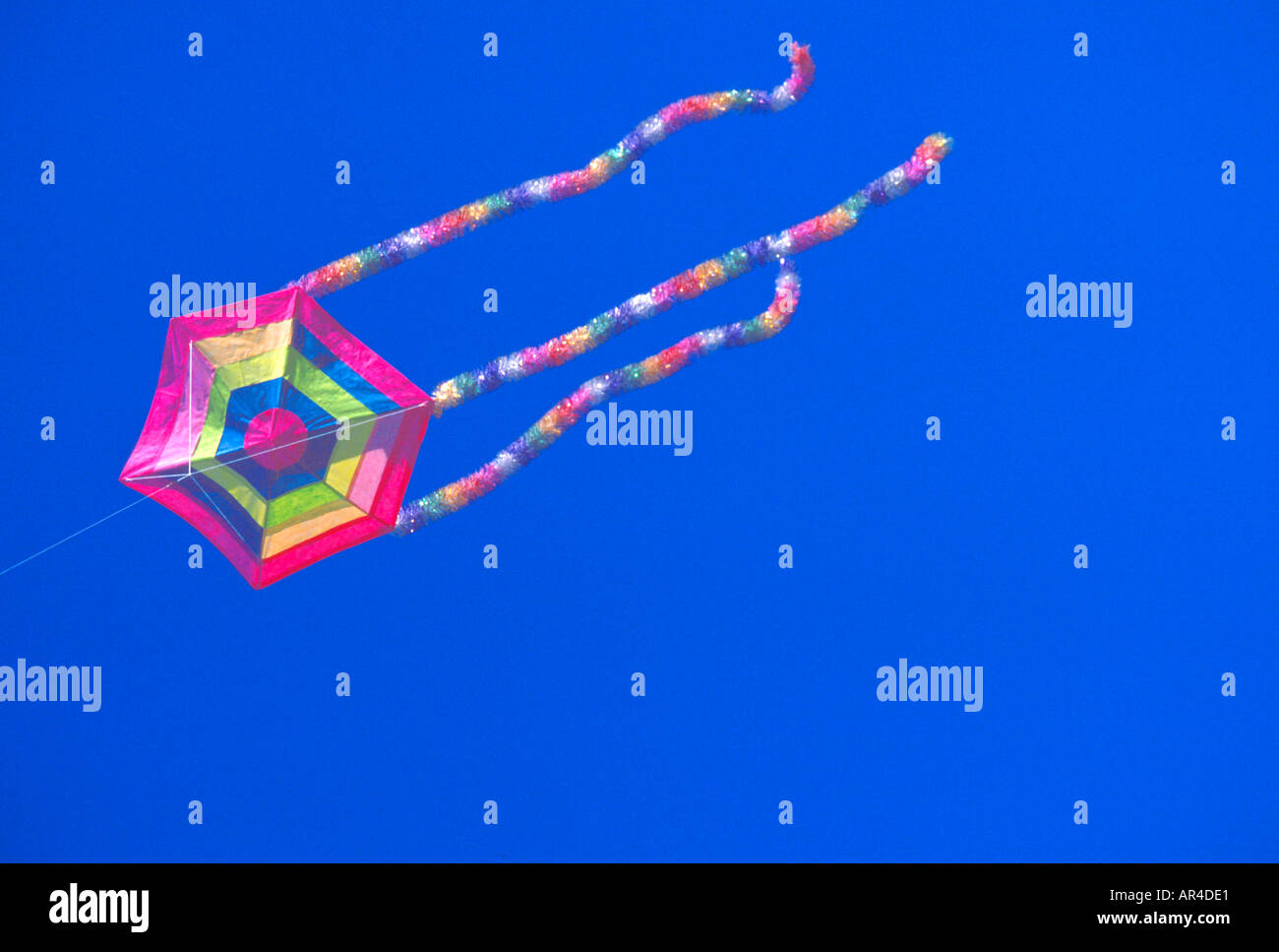 Central American style round kite with tinsel tails in flight Eugene ...