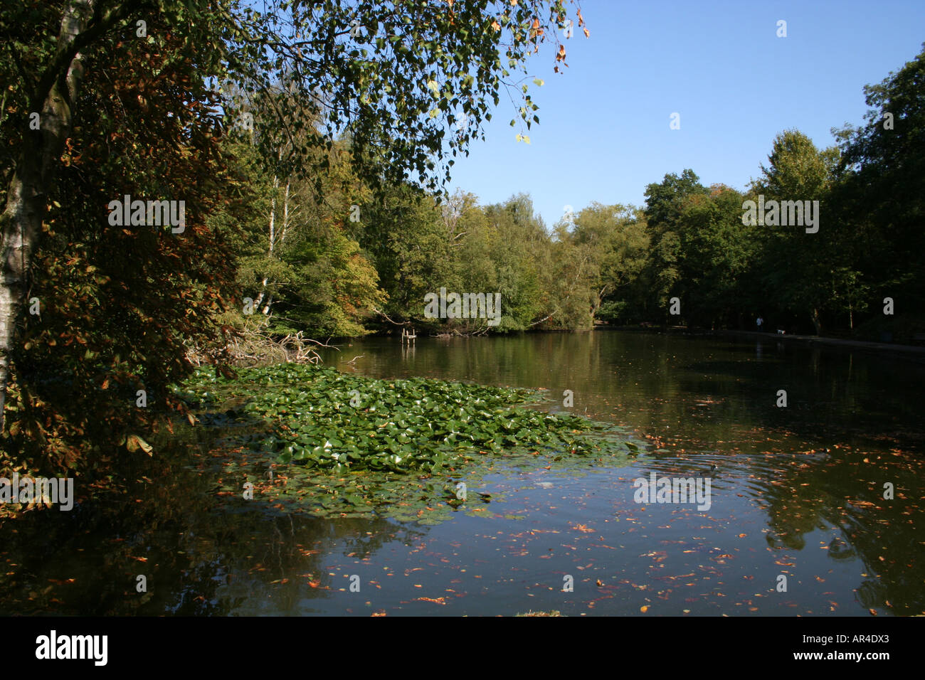 Whitewebbs Park Enfield Stock Photo - Alamy