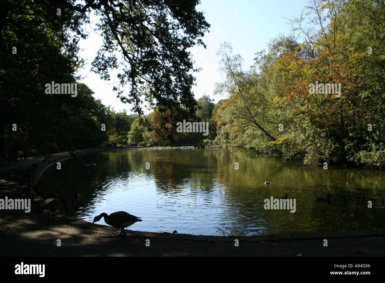 Whitewebbs Park Enfield Stock Photo - Alamy