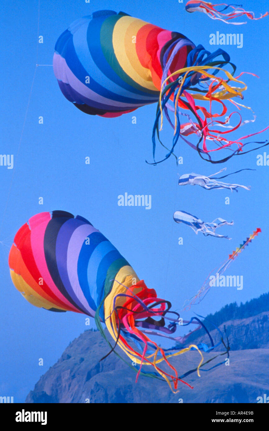 Giant Spinning Windsocks in flight suspended from parafoil kite Lincoln ...