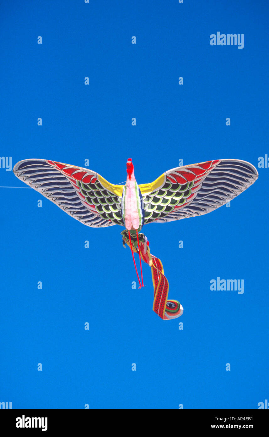 Chinese paper and bamboo Phoenix kite in flight Oregon Coast USA US U S ...
