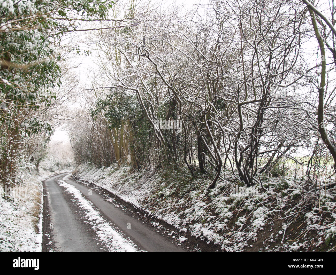 Protection roadside hi-res stock photography and images - Alamy