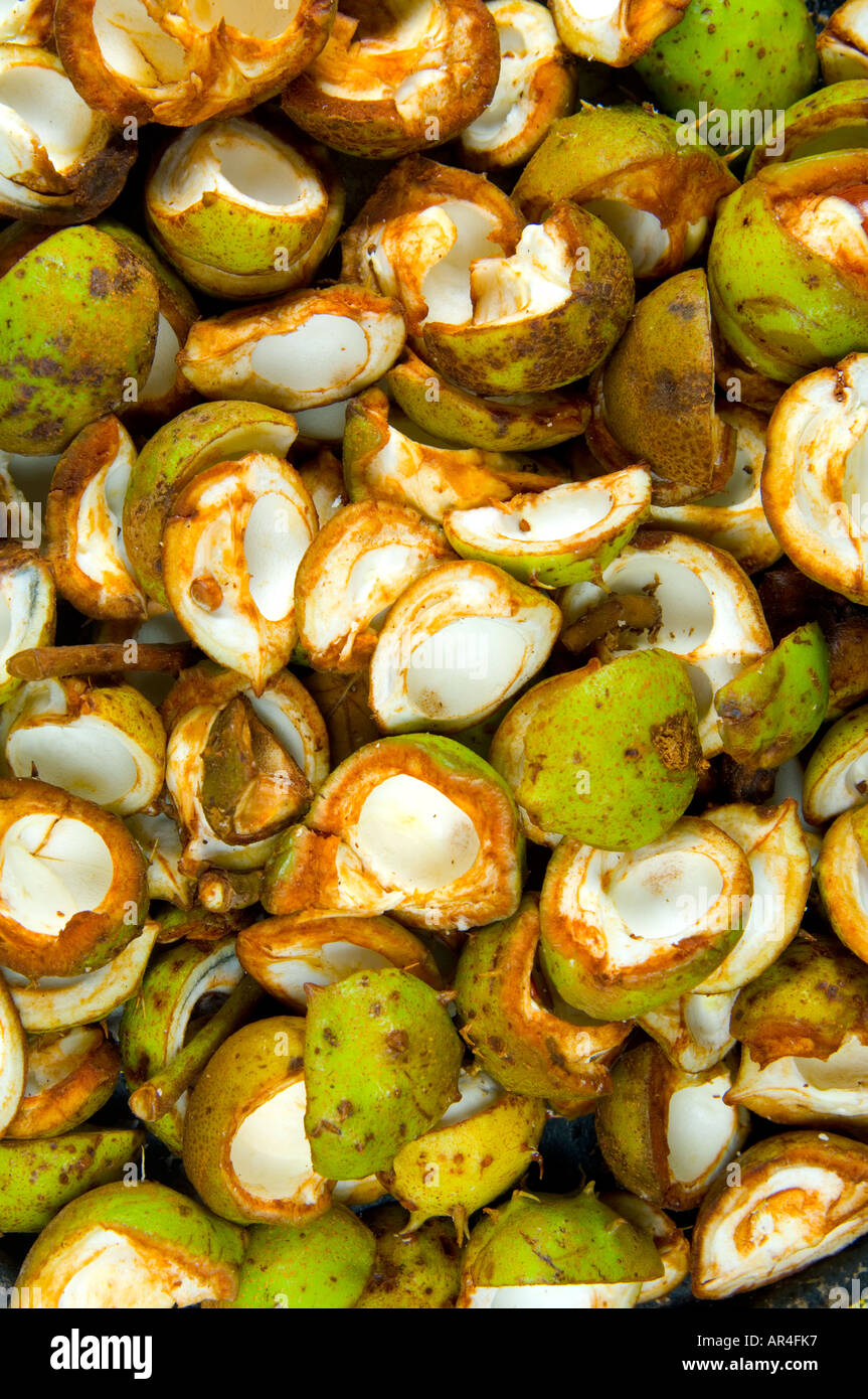 Horse chestnut shells Stock Photo - Alamy