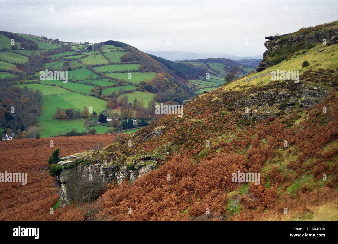 Rock face Woodland Aberedw rocks Farmland Fields Bracken Wye Valley ...