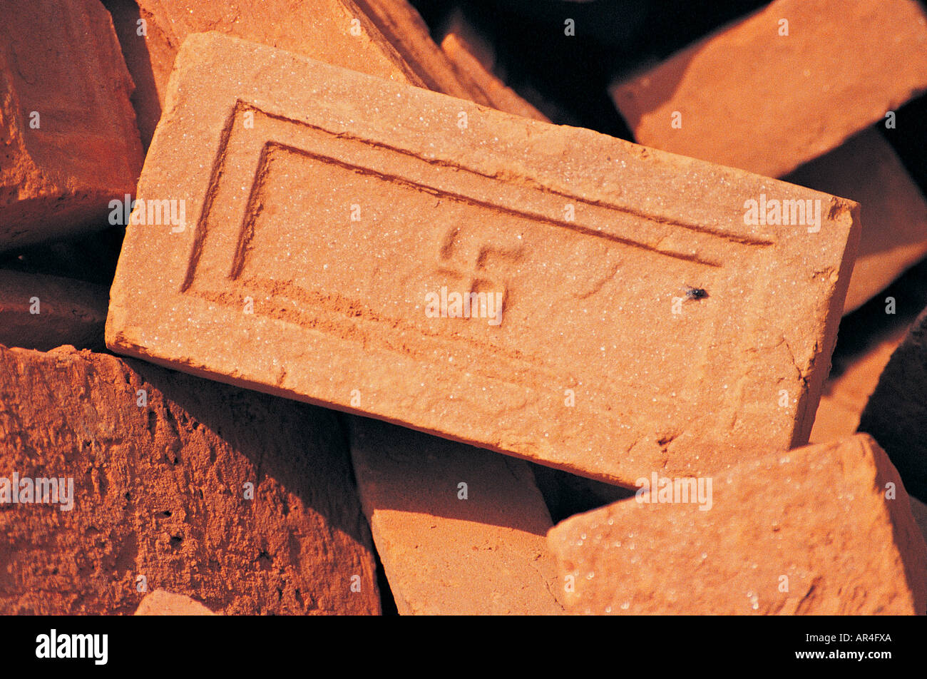 Bricks with swastika sign and a fly Stock Photo - Alamy
