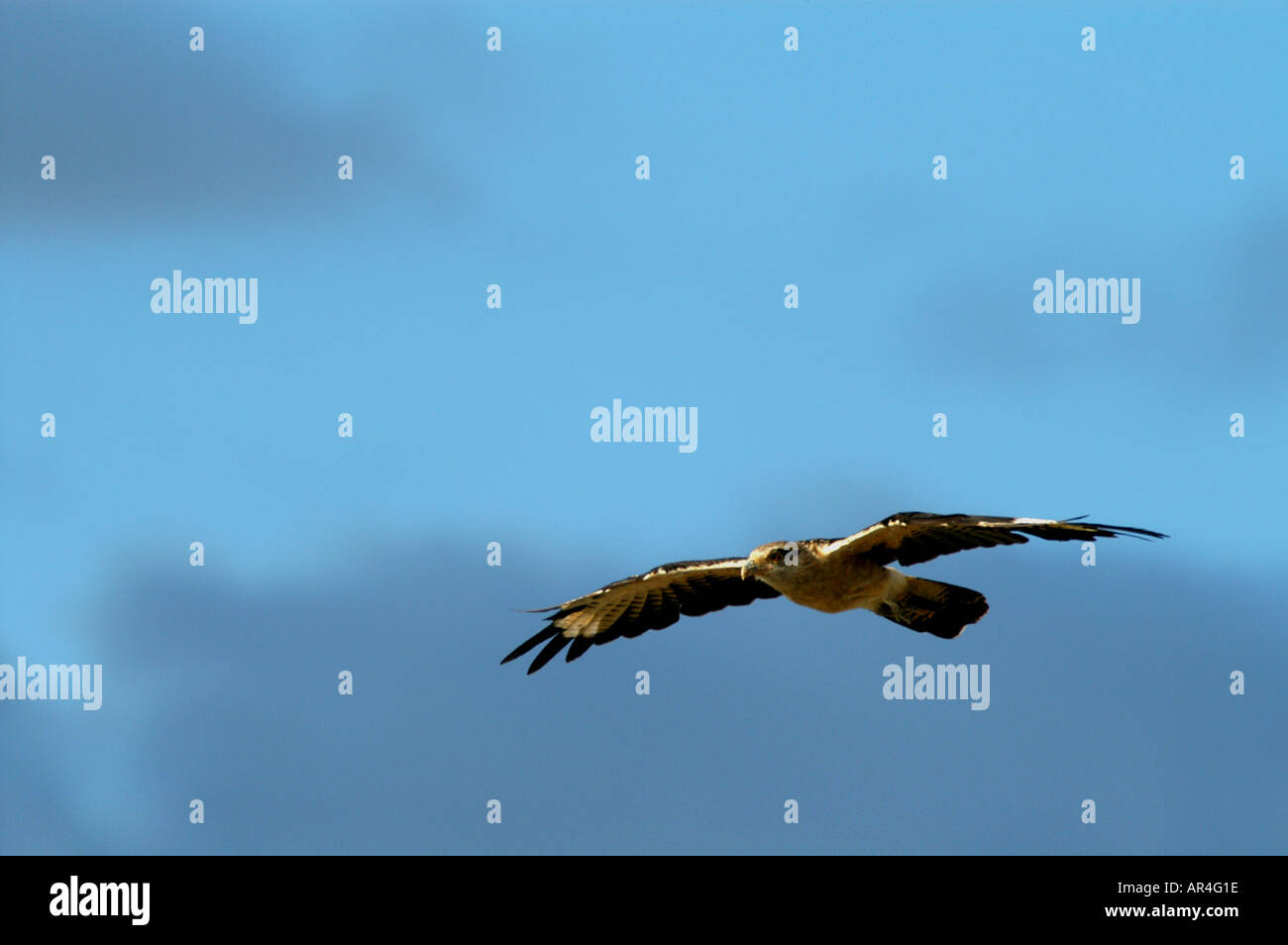 Flying over sao paulo hi-res stock photography and images - Alamy