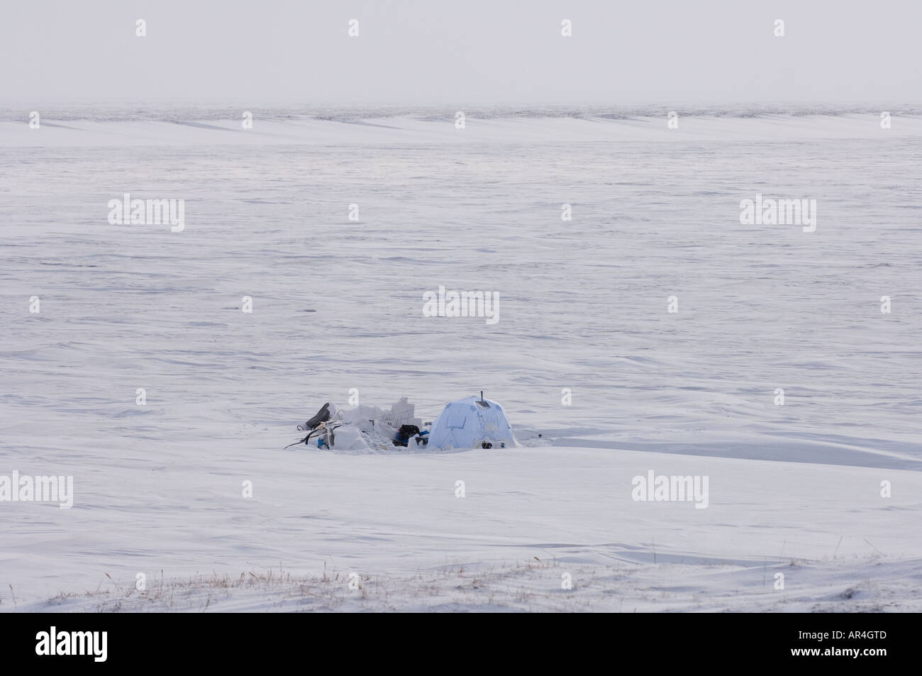 expedition camp on ice Arctic National Wildlife Refuge Alaska Stock ...