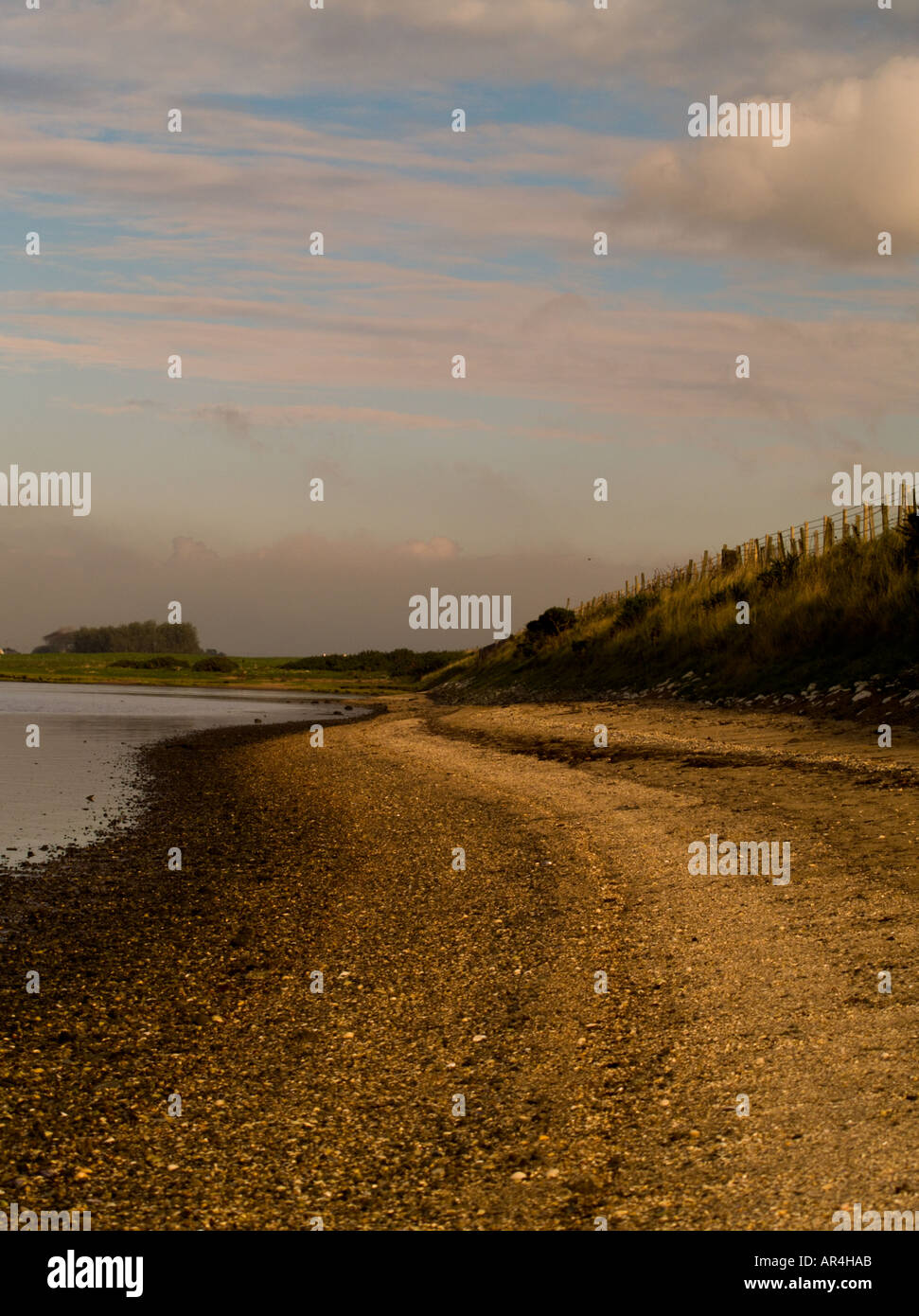 the sweeping patterns of seashells on the shore of Lough Foyle Northern ...
