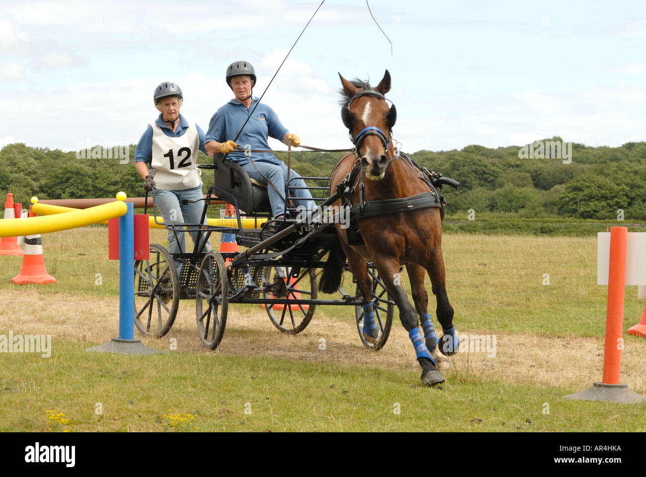 Pony cart horse carriage driving uk hi-res stock photography and images ...