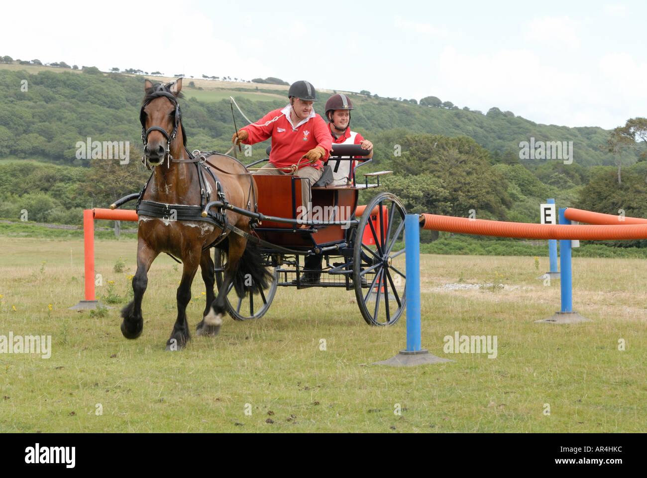 Pony cart horse carriage driving uk hi-res stock photography and images ...