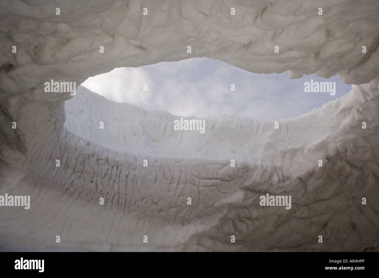 Den site bears beaufort sea arctic ocean north slope hi-res stock ...