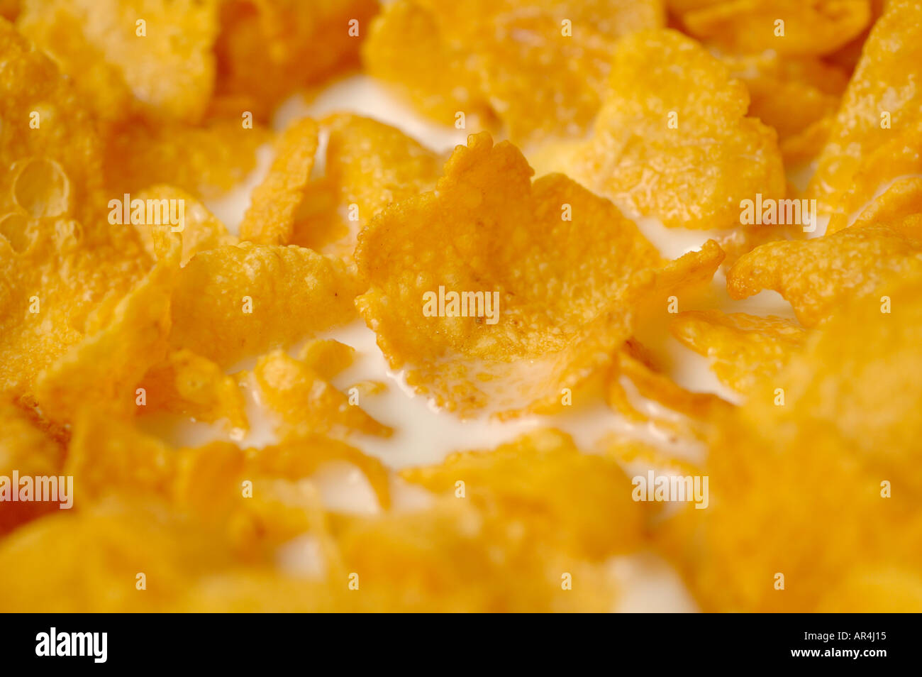 Corn flake cereal with milk Stock Photo - Alamy