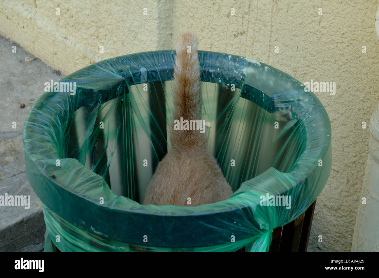 Inside a trash can hi-res stock photography and images - Alamy