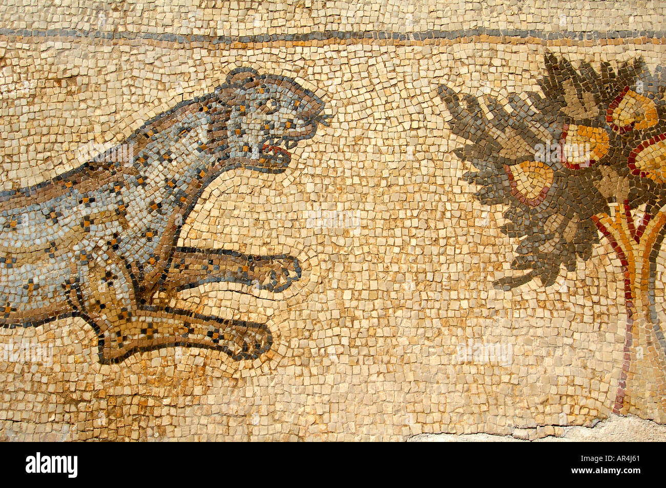 Figurative floor mosaic depicting leopard hi-res stock photography and ...