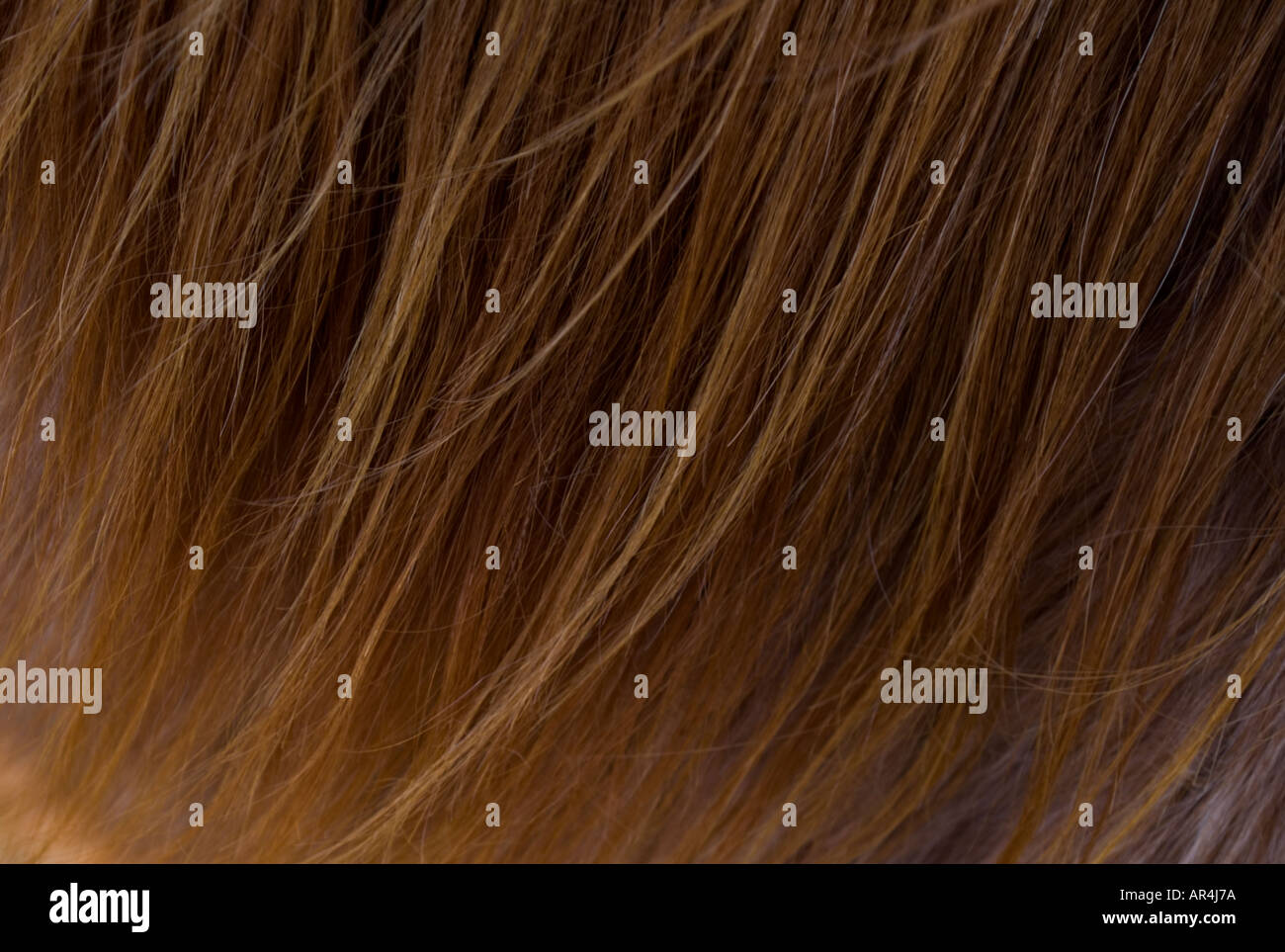 Detailed photo of a horses mane Stock Photo - Alamy