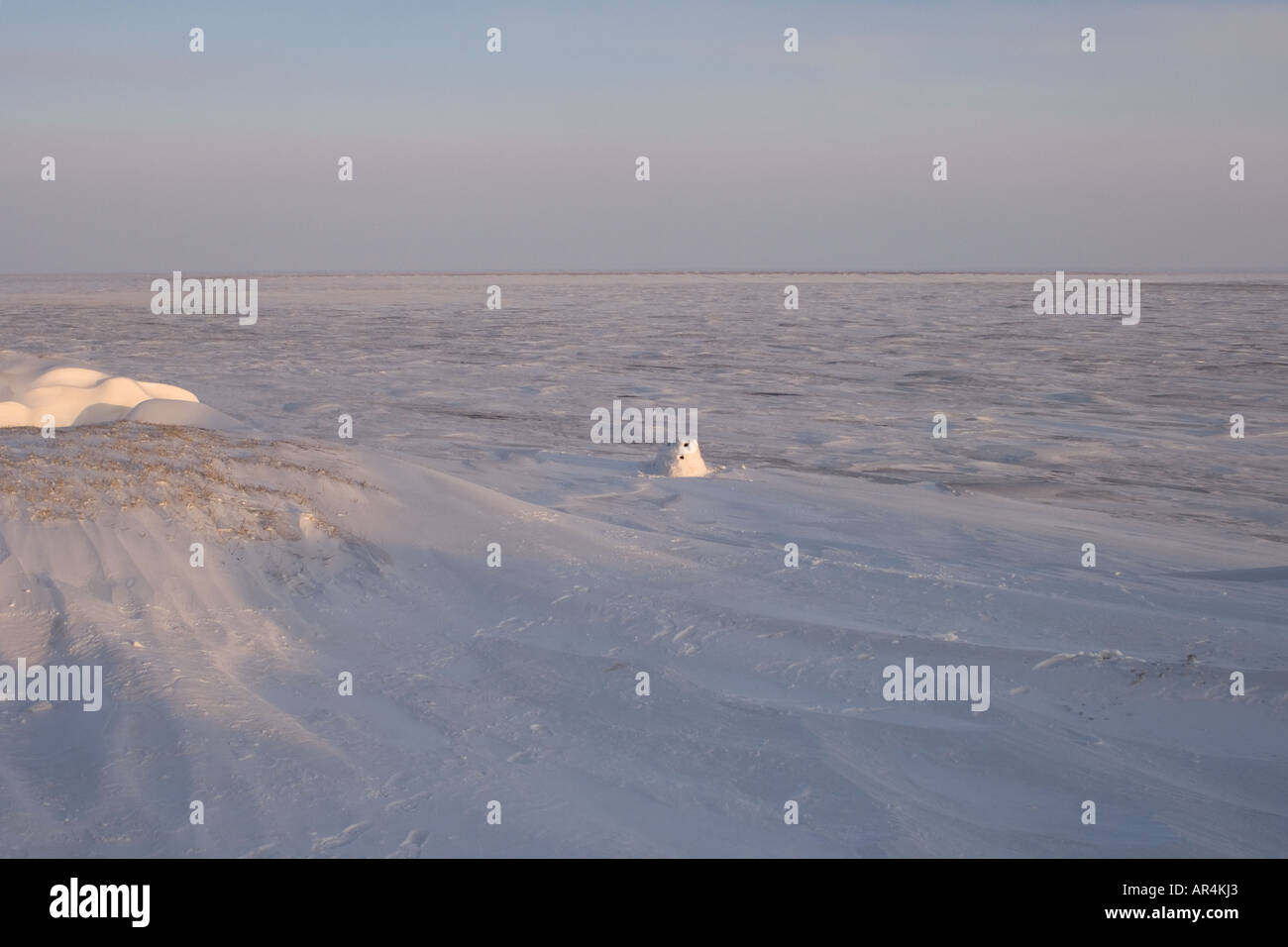 igloo snow blind used for photography camp along the Arctic coast ...