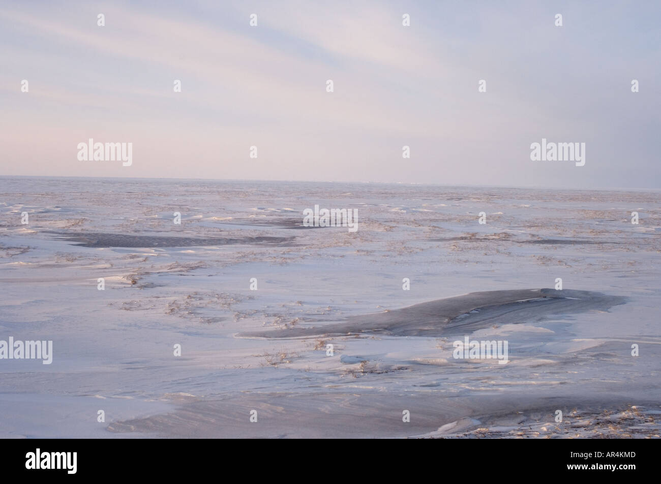 Arctic landscape in spring mouth of the Canning river eastern Arctic ...