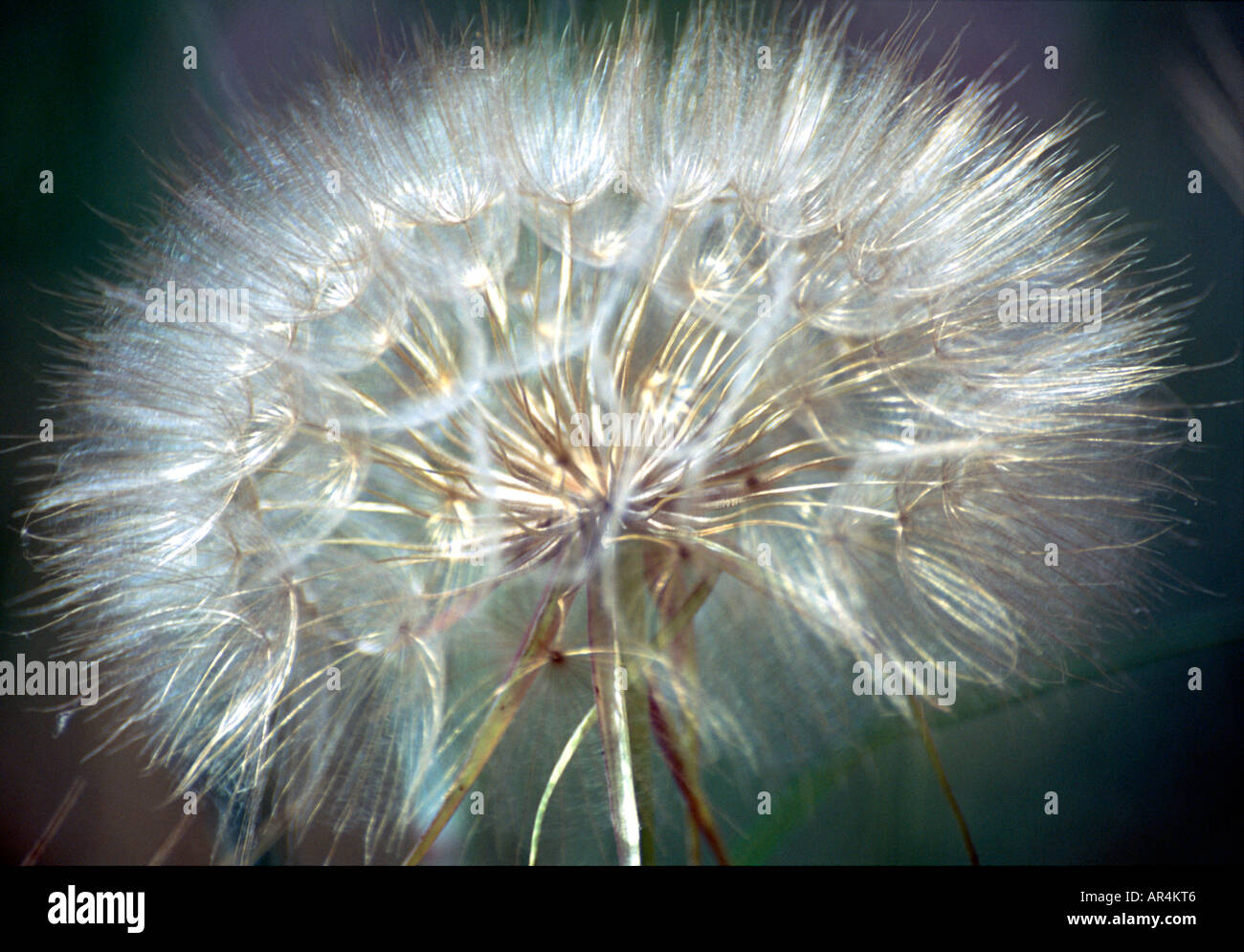 Again divided hi-res stock photography and images - Alamy
