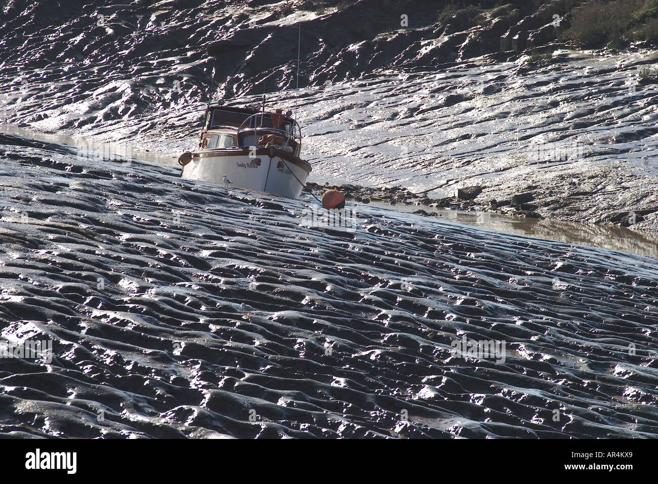 Tremorfa cardiff hi-res stock photography and images - Alamy