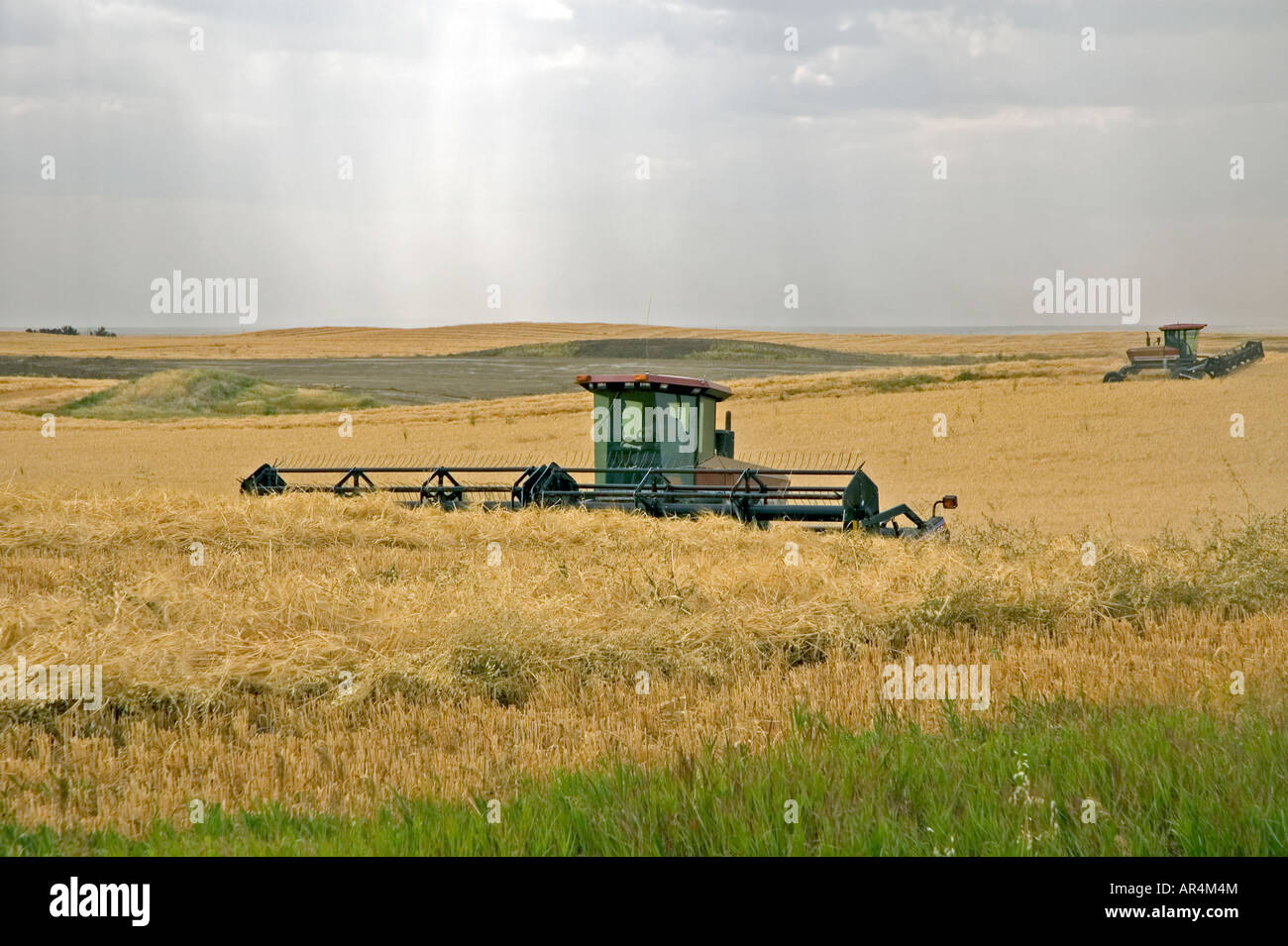 Swathing High Resolution Stock Photography and Images - Alamy