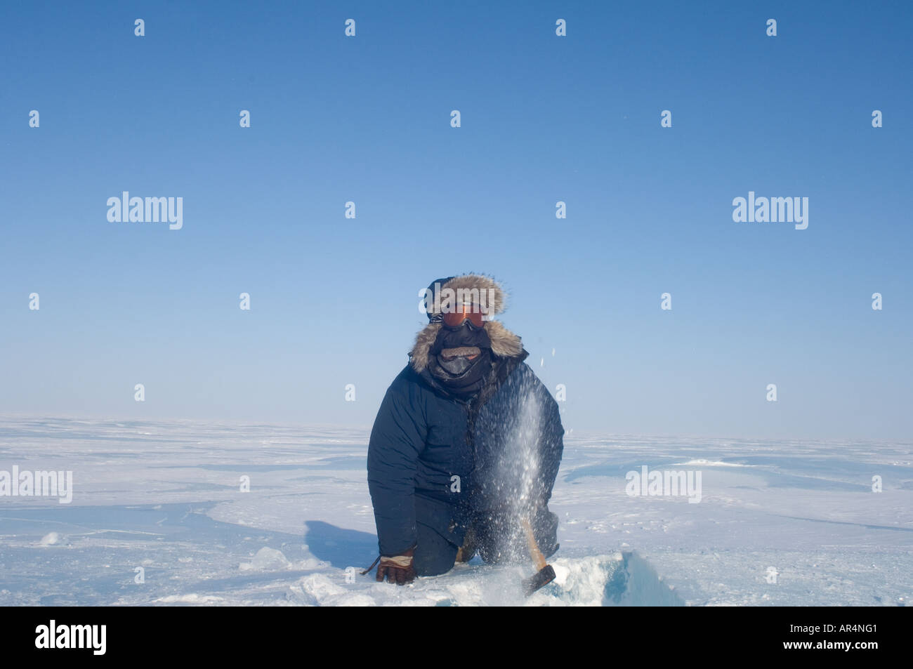 Self sufficient living on the land spring march arctic hi-res stock ...